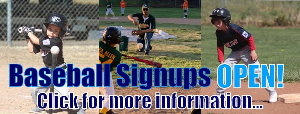 Home [www.hoovertyler.org]